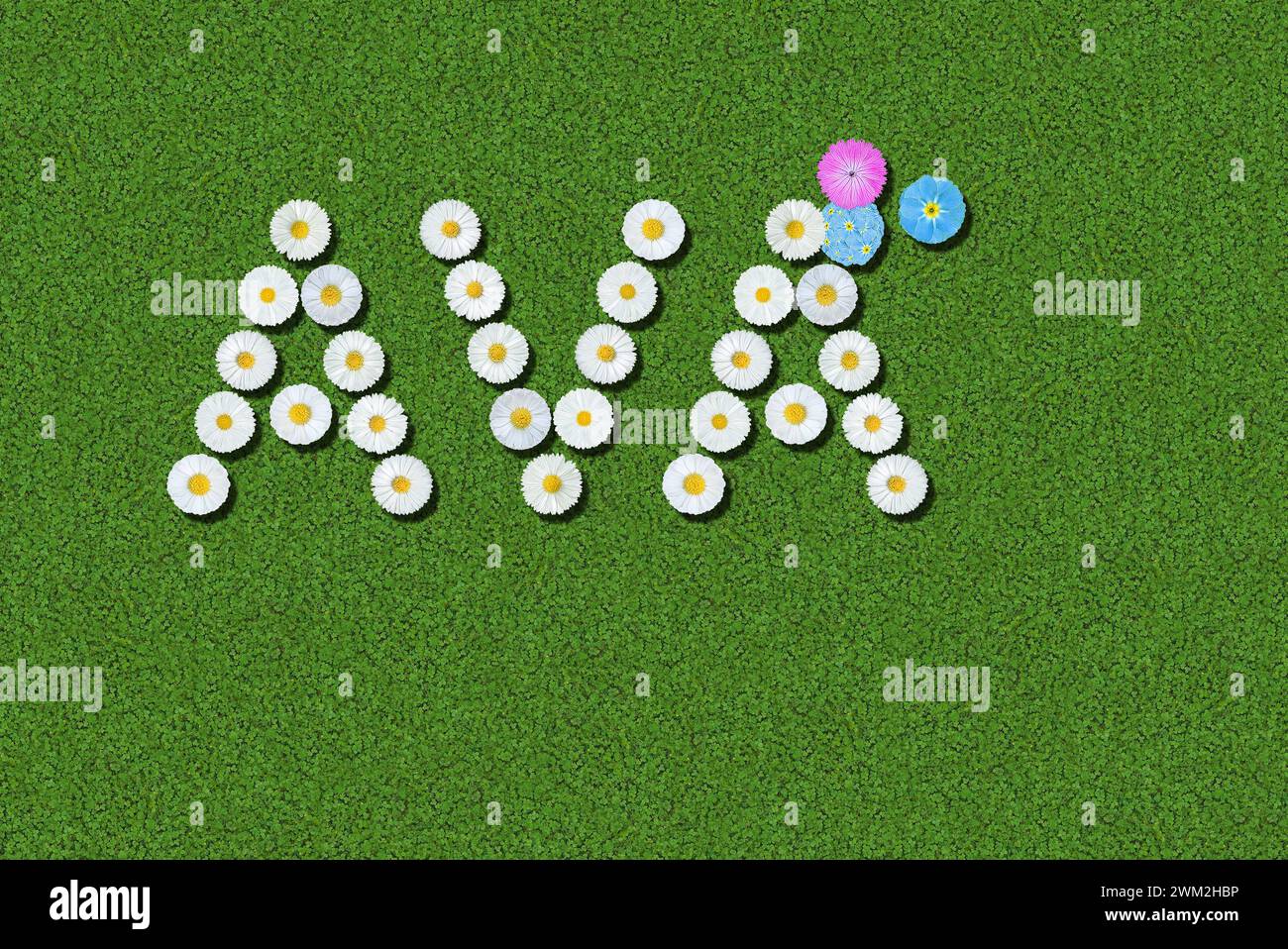 the ten most popular first names for girls in the US and UK Stock Photo ...