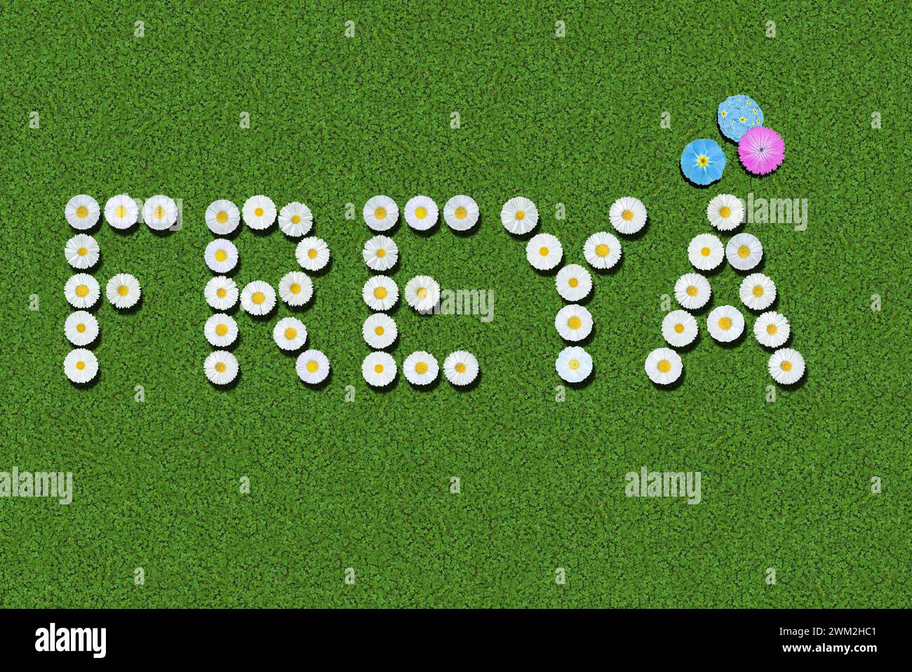 the ten most popular first names for girls in the US and UK Stock Photo ...