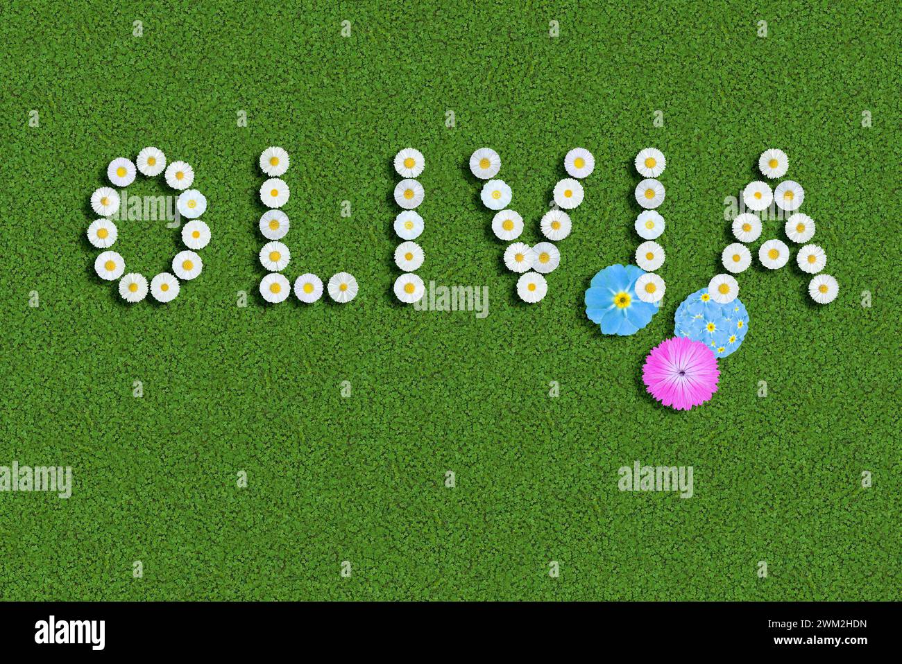 the ten most popular first names for girls in the US and UK Stock Photo ...