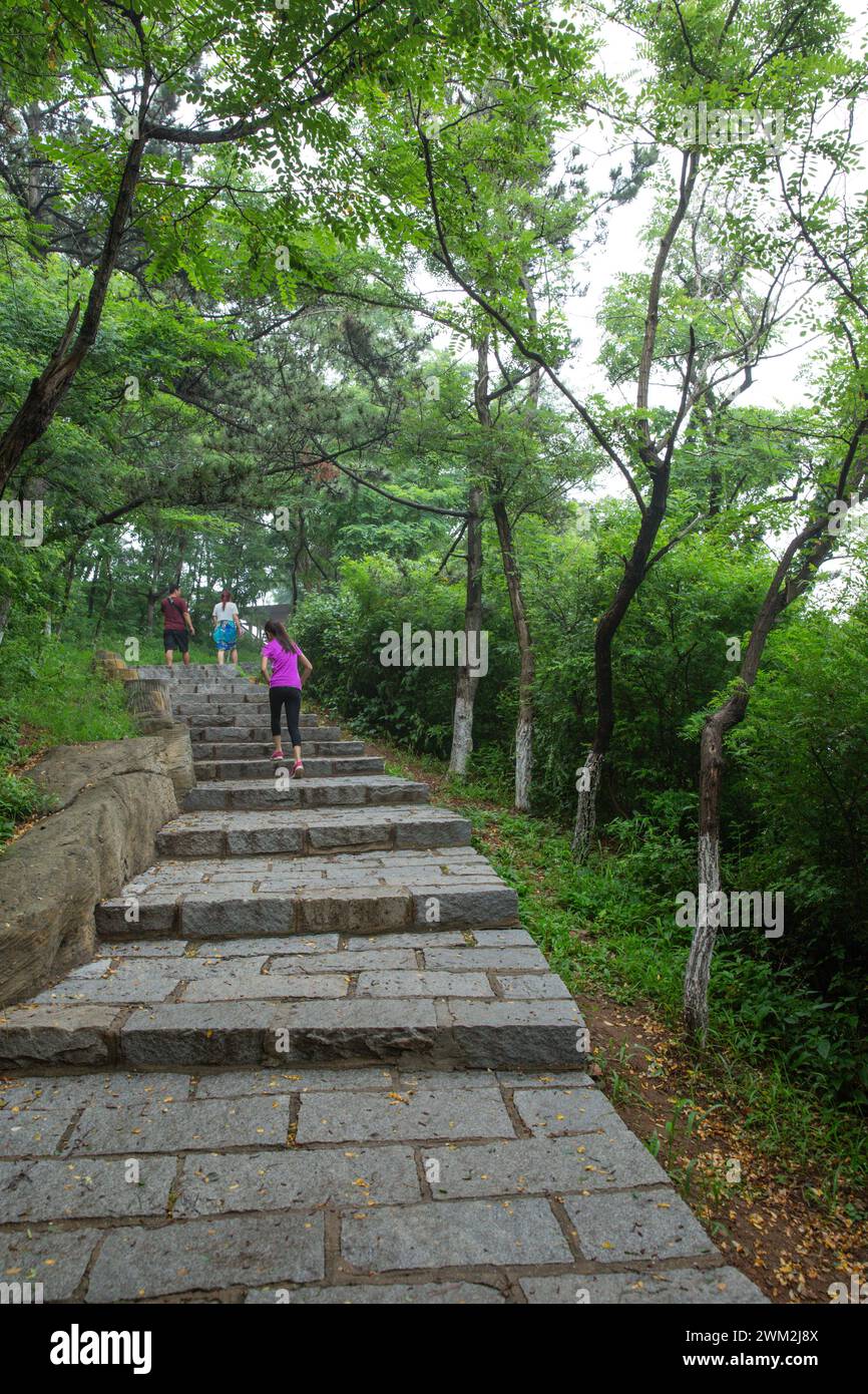 Green pathside hi-res stock photography and images - Alamy