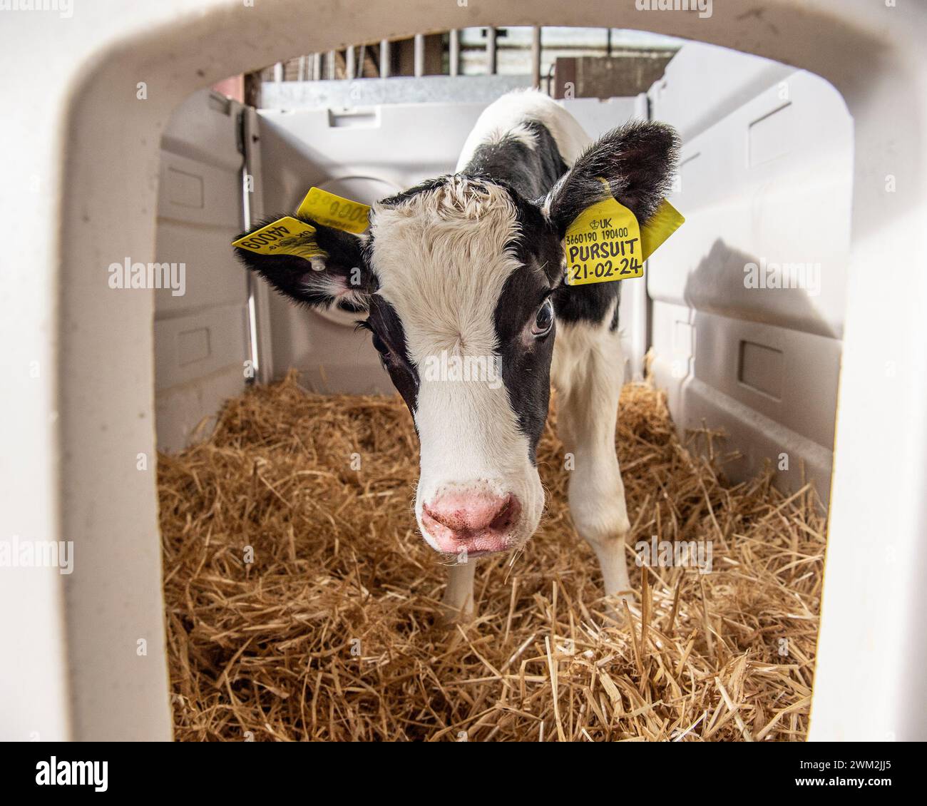 Old dairy farm hi-res stock photography and images - Alamy
