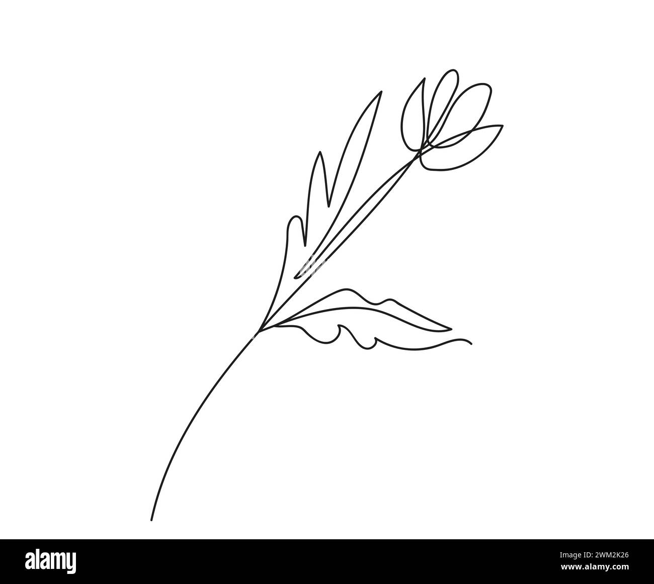 Continuous one line drawing of flower with leaves. Line art. Concept of ...