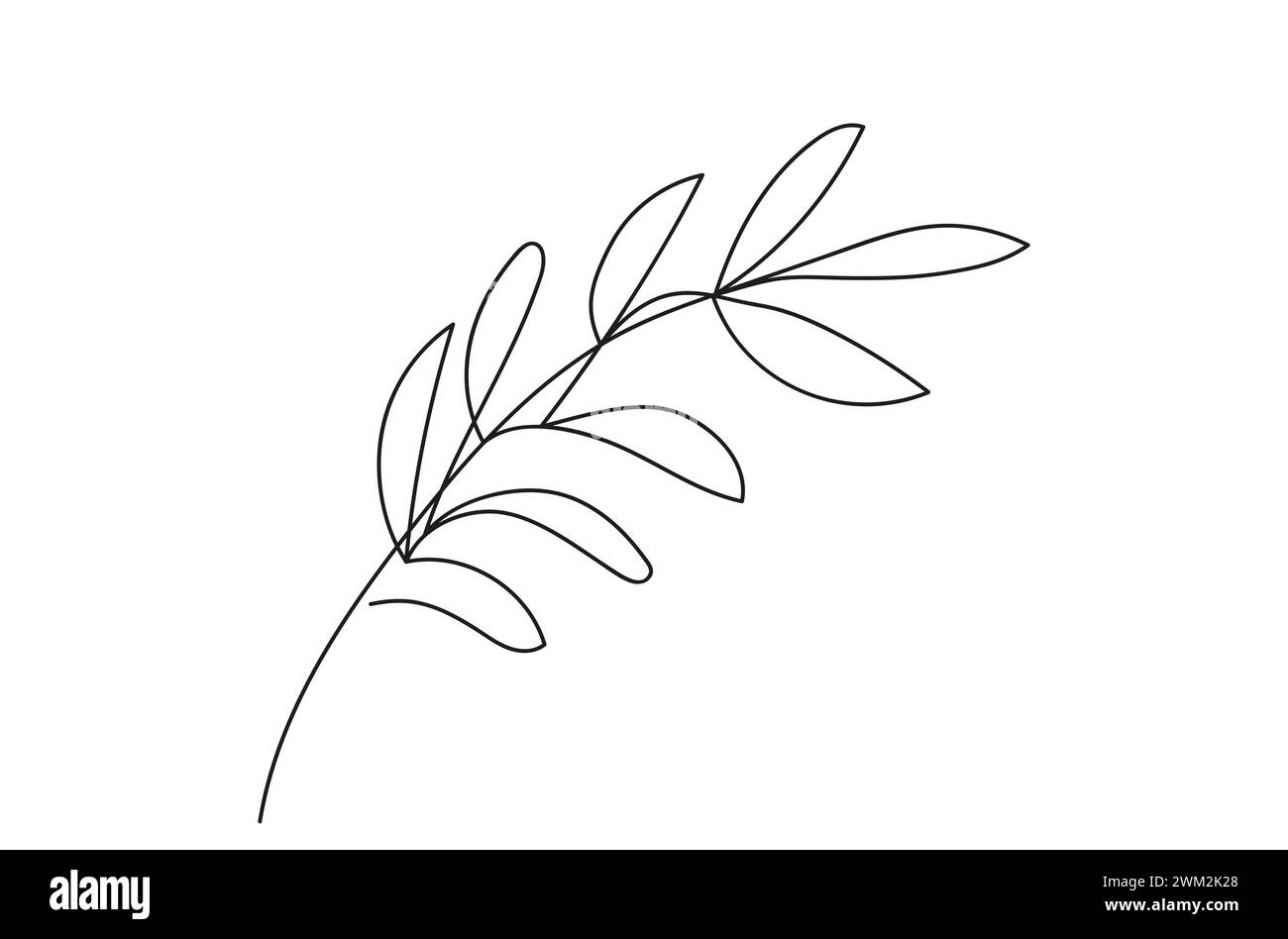 Green Leaf Line Drawing