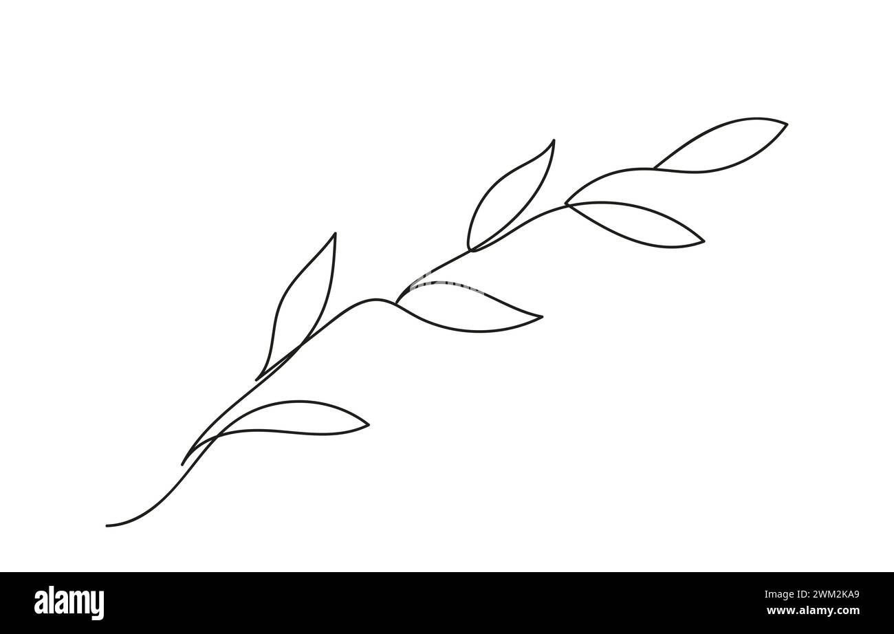Continuous one line drawing of olive branch. Line art. Branch with ...