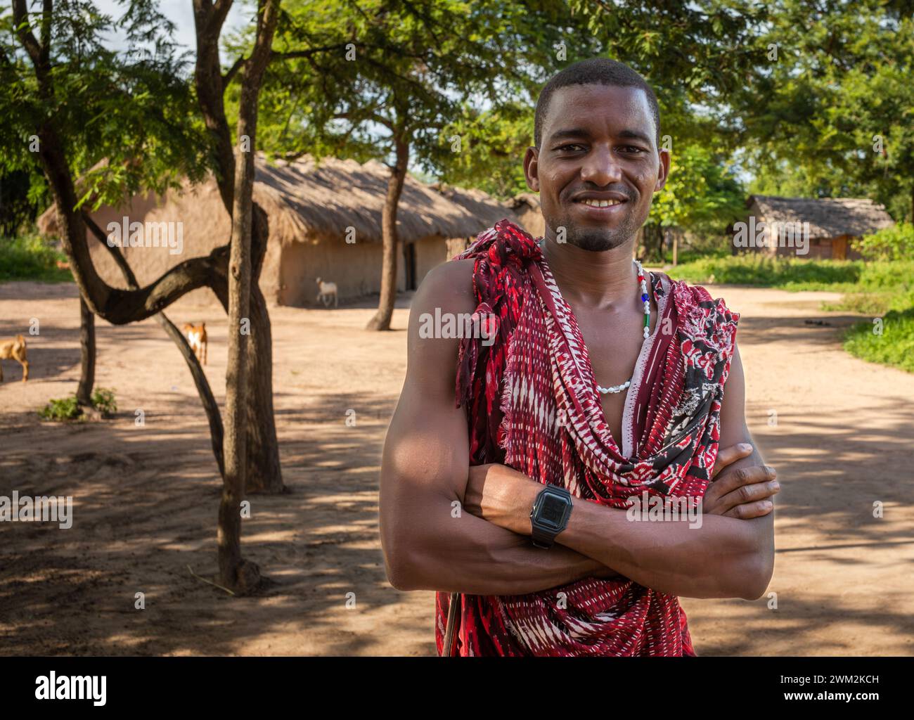 A male Maasai warrior tribesman wearing a shuka in his village in ...