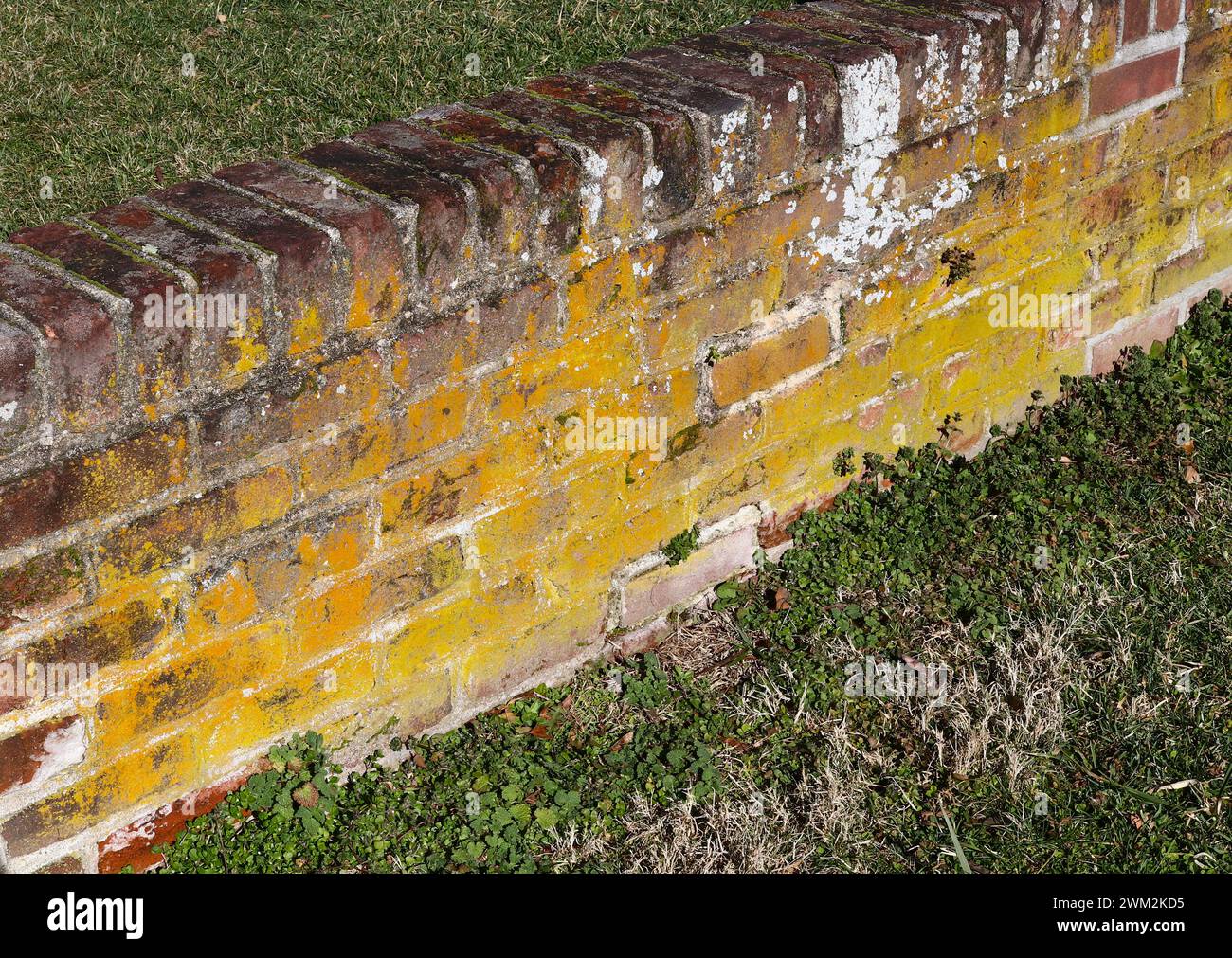 Mold tells story hi-res stock photography and images - Alamy