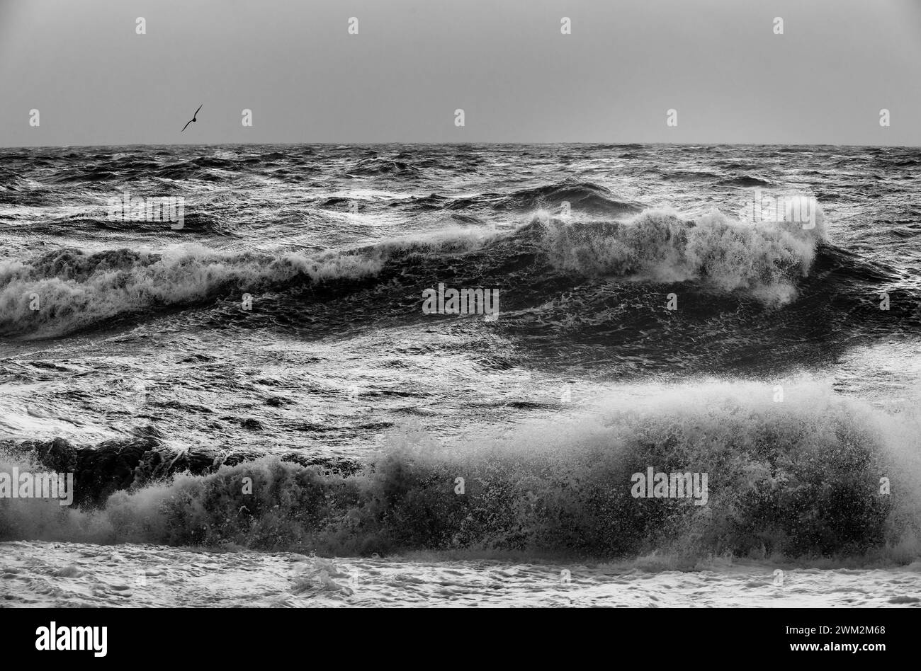 Windy stormy weather Black and White Stock Photos & Images - Alamy