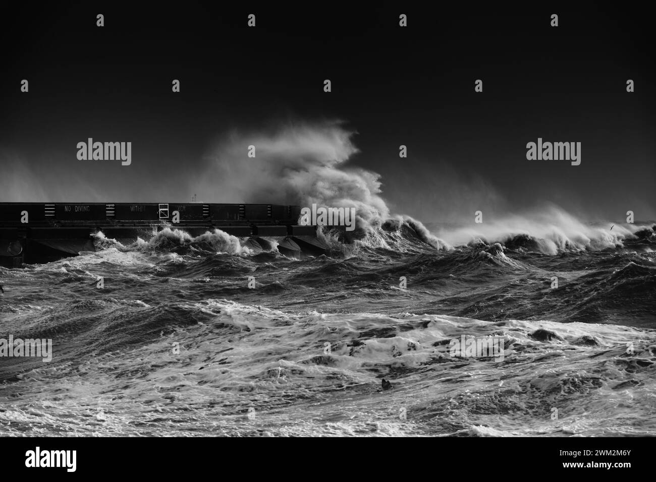 Windy stormy weather Black and White Stock Photos & Images - Alamy