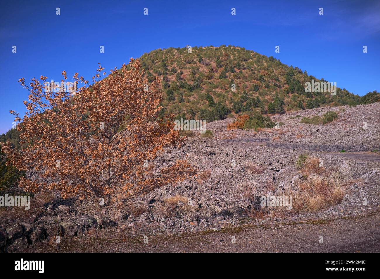 Etna volcano autumn colors hi-res stock photography and images - Alamy