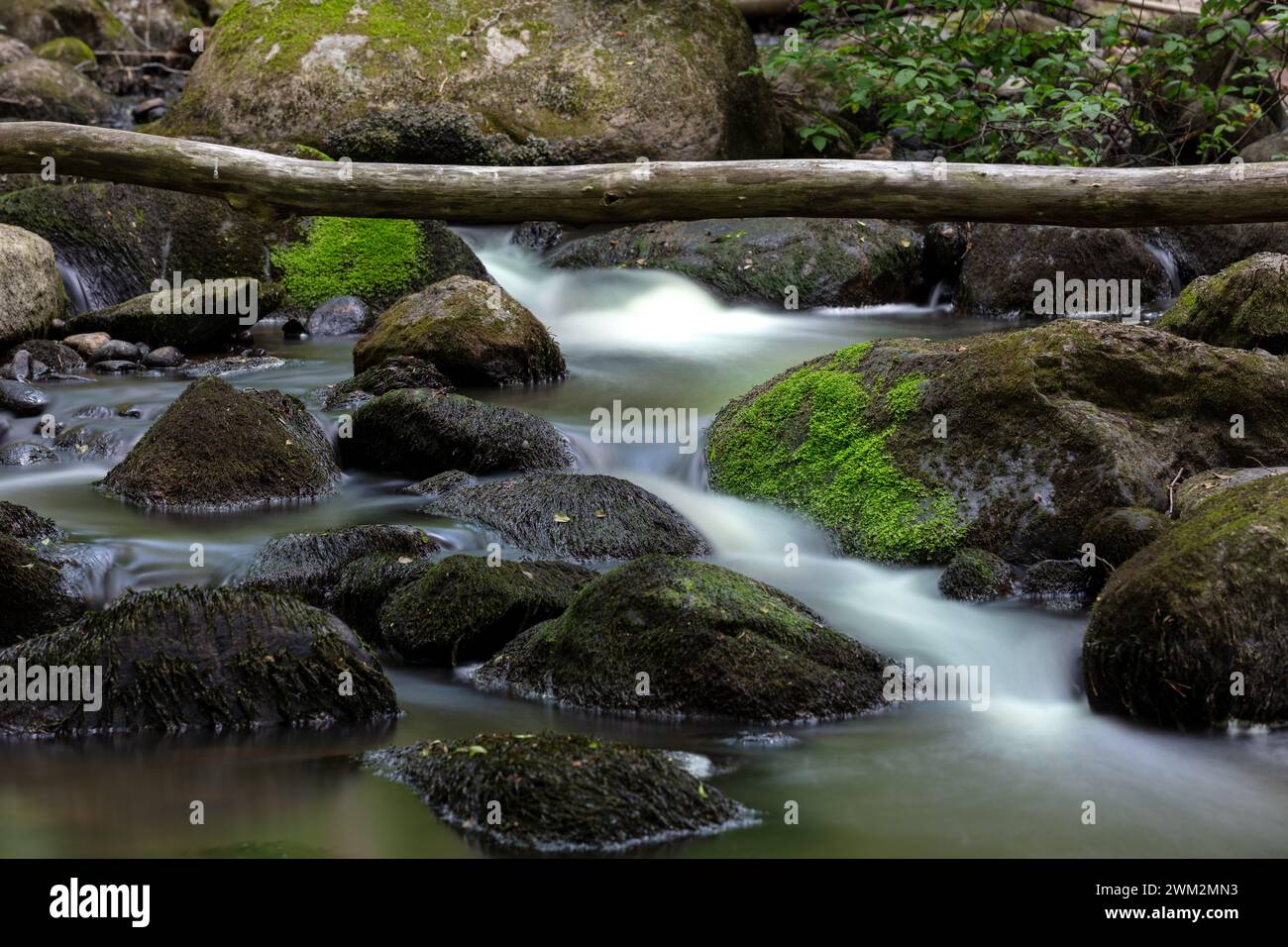 Stream of water flowing over mossy rocks in long exposure image. Green ...