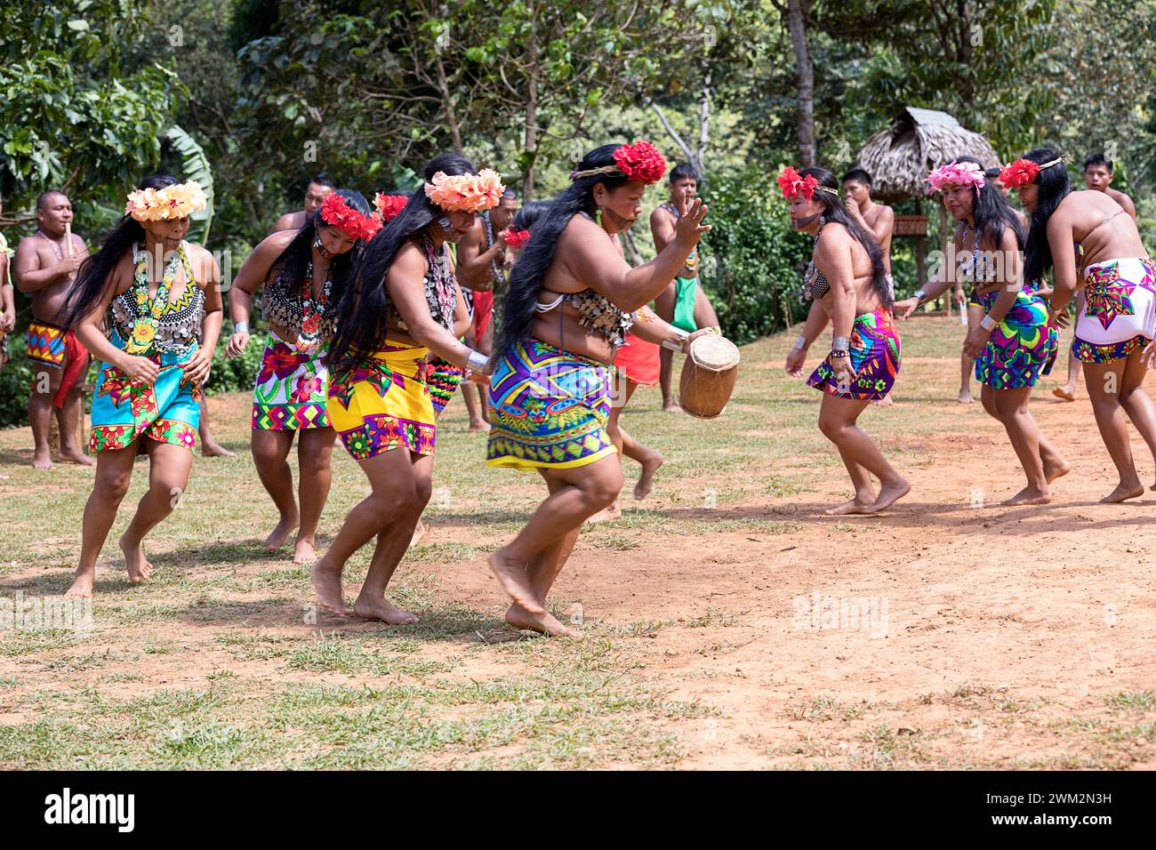 Women from Embera tribe in traditional dresses singing and dancing in a ...