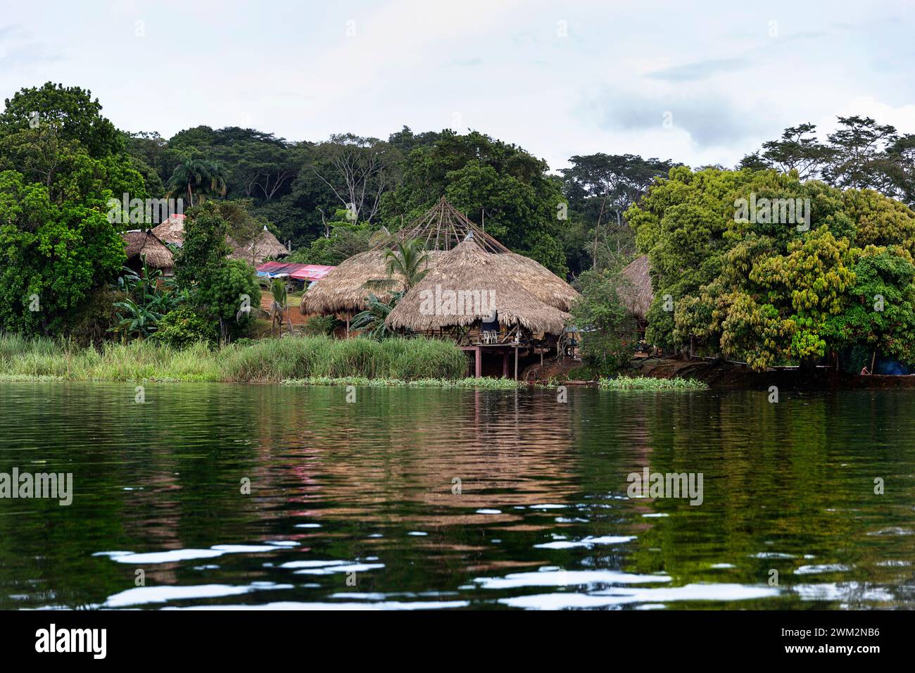 Beautiful traditional village of Embera tribe by the Pequeni river in a ...