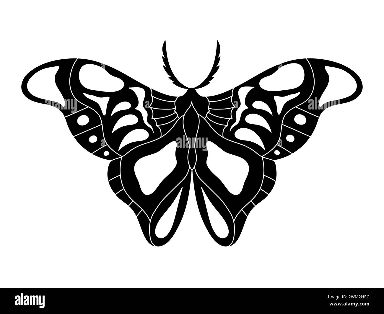 Monochrome monarch butterfly. Hand drawn insect. Vector illustration ...