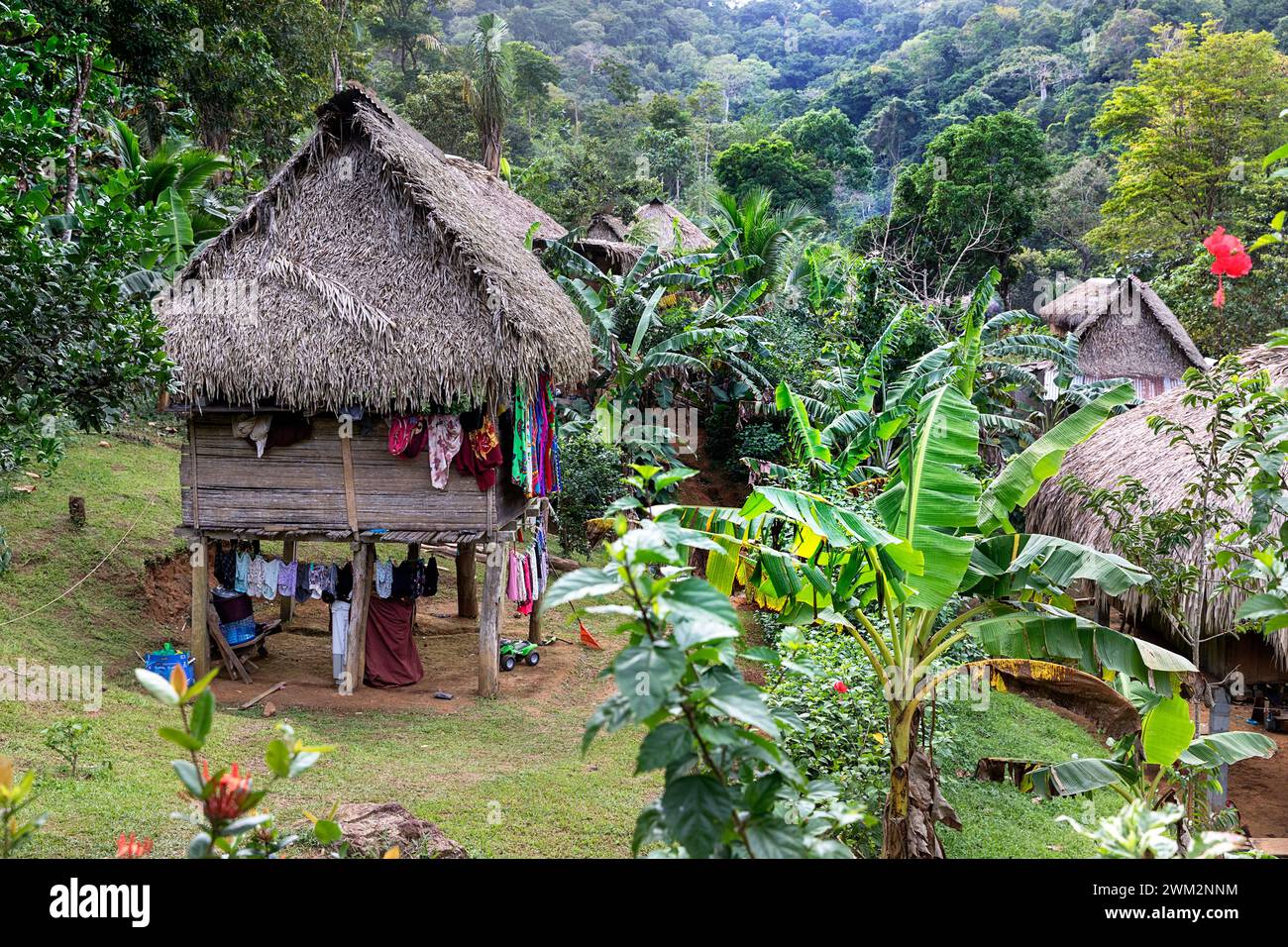 Beautiful traditional village of Embera tribe in a tropical rainforest ...
