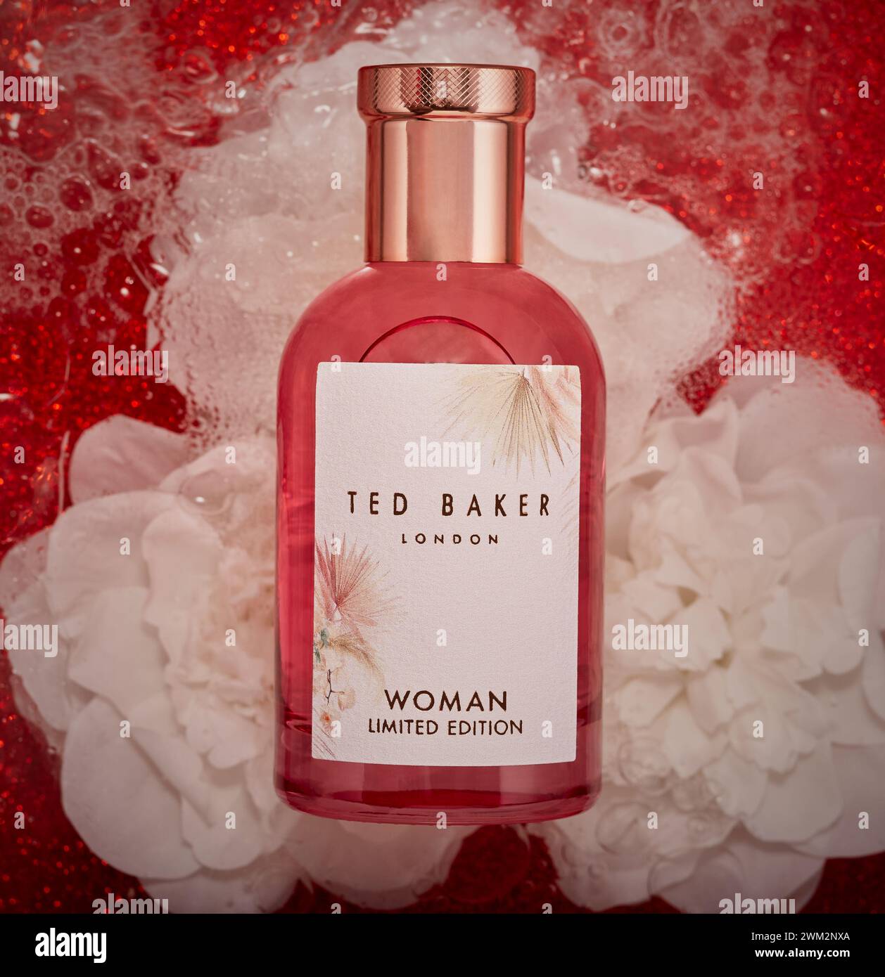 Ted flowers hi-res stock photography and images - Alamy