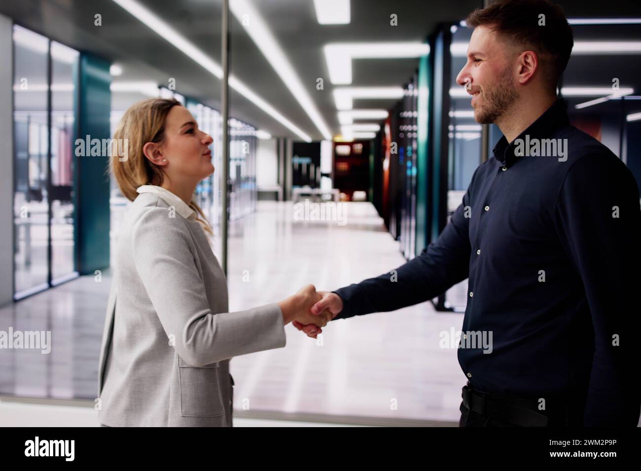 Man Handshake With Partner. Deal Approval After Meeting Stock Photo - Alamy