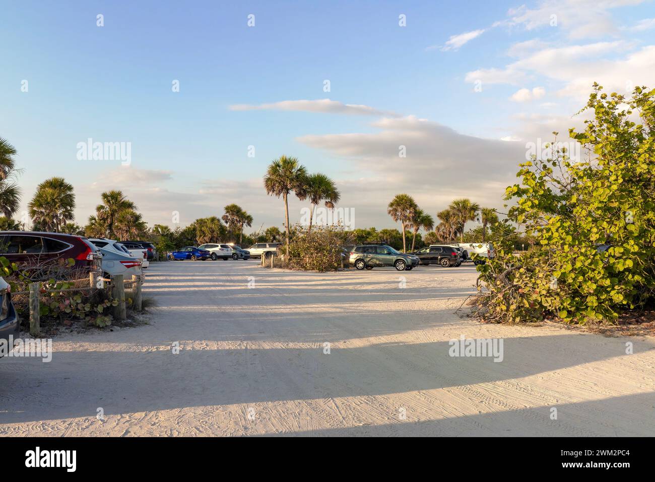 Vehicle parking area with cars parked on ocean beach parking lot at ...