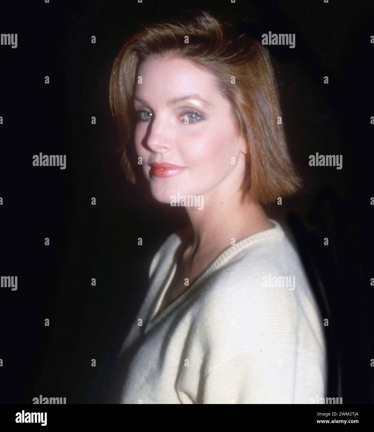 Priscilla Presley 1985, Photo By John Barrett/PHOTOlink /MediaPunch Stock Photo - Alamy