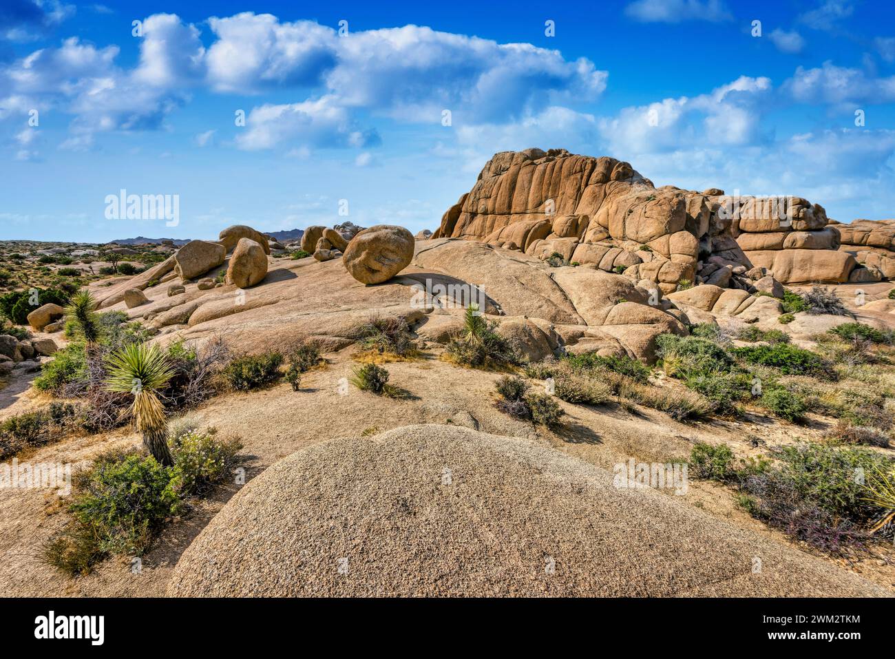 The Jumbo Rocks in Joshua Tree National Park, California Stock Photo ...