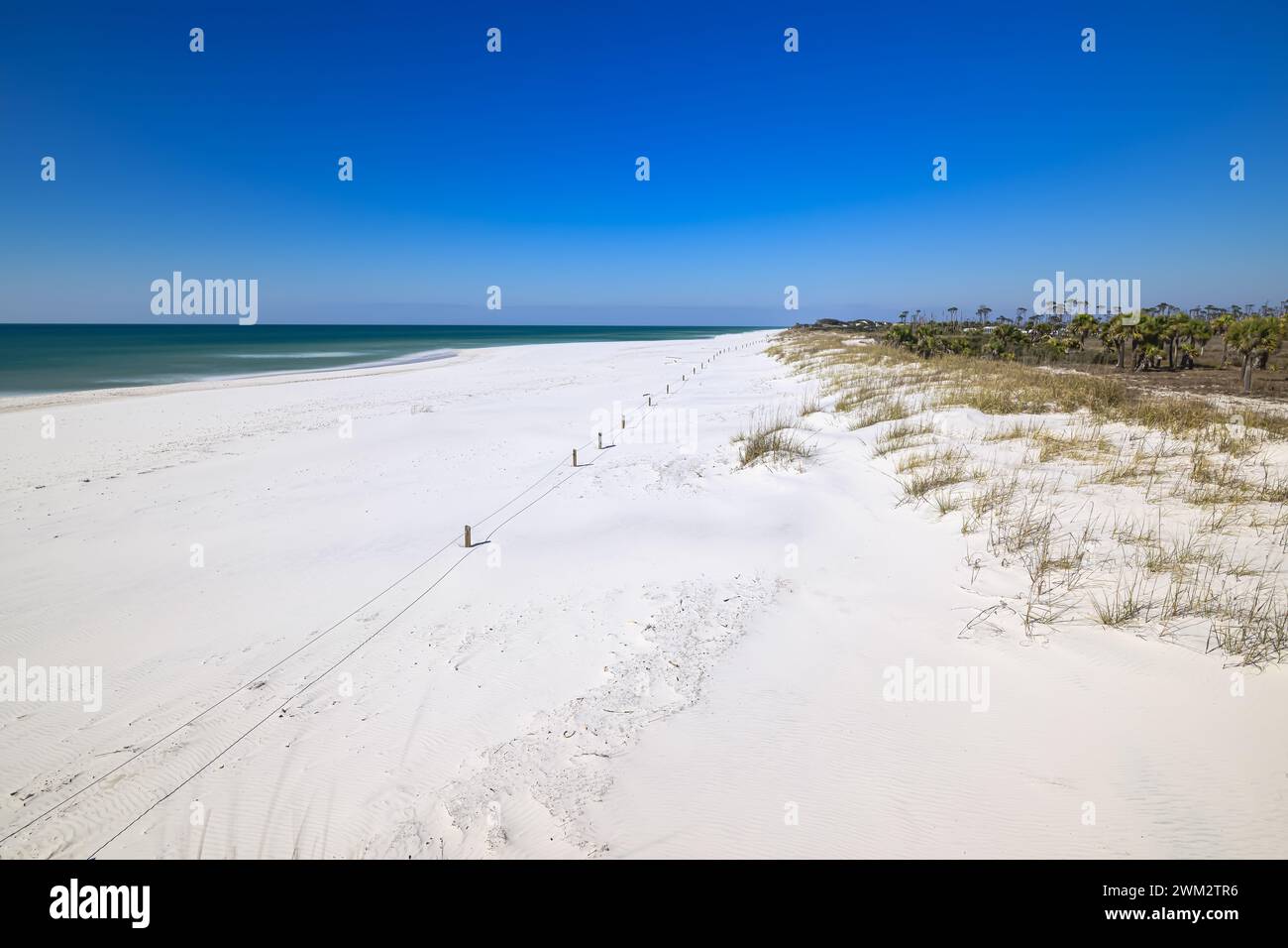 Discovering nature's gem at St. Joe State Park, Florida, where the ...