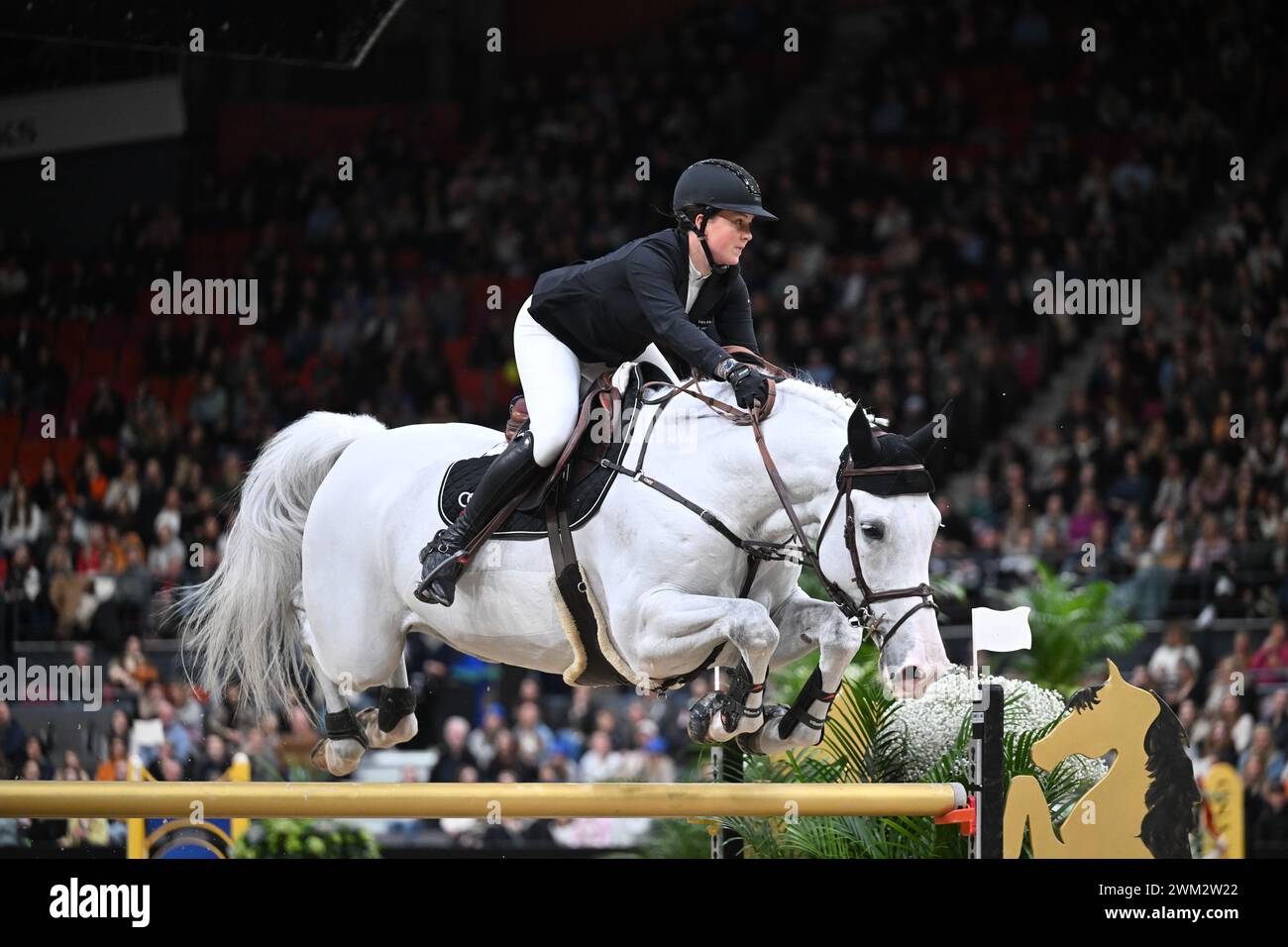 Sweden 20240223kim emmen hi-res stock photography and images - Alamy