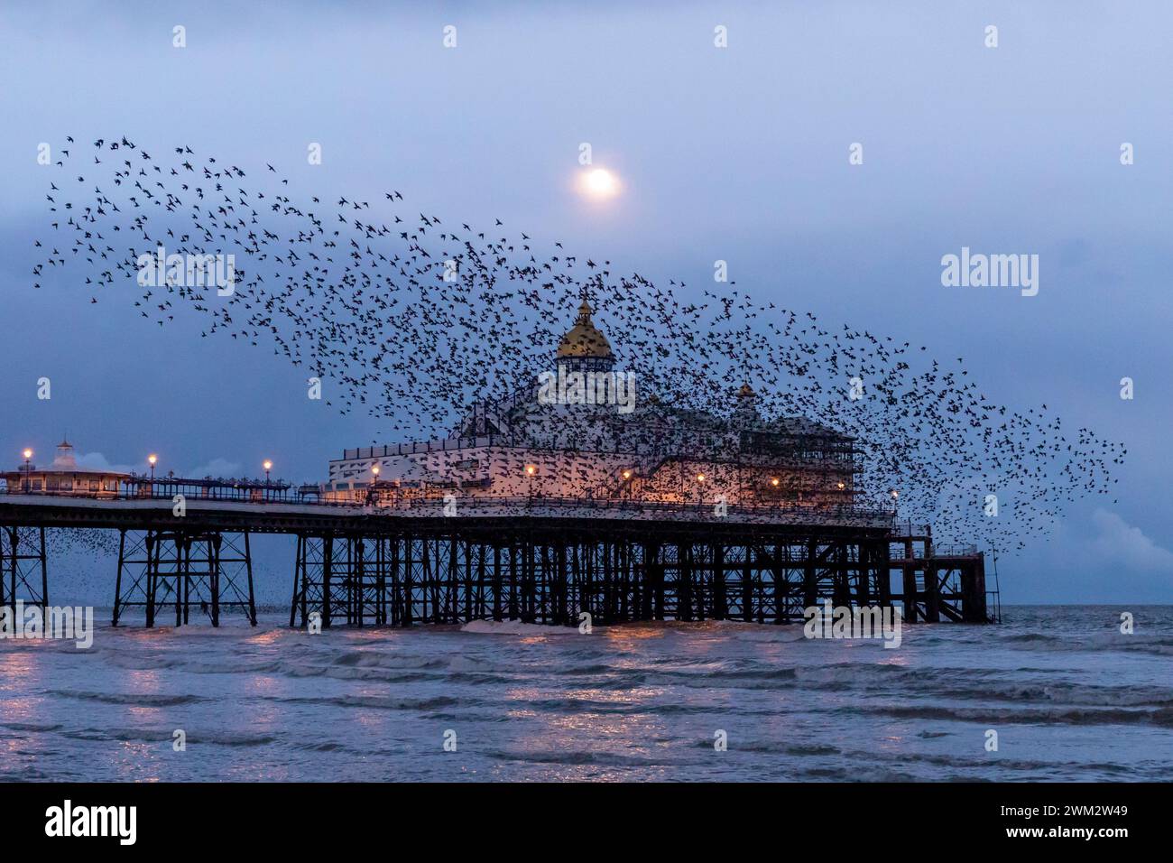 Eastbourne, UK. 23rd Feb 2024 Tonights full moon rises behind ...