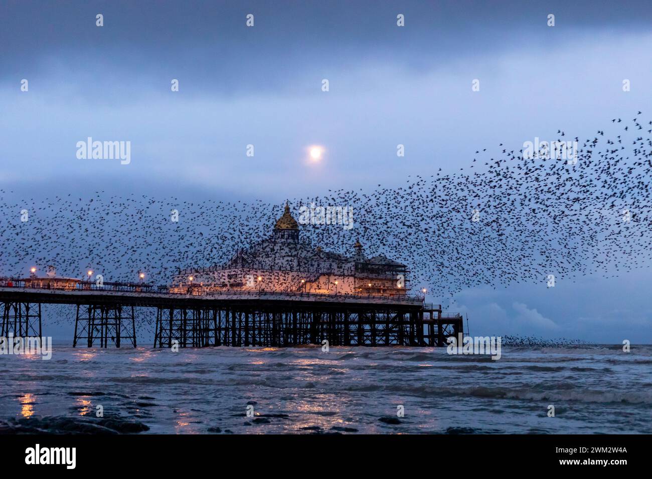 Eastbourne, UK. 23rd Feb 2024 Tonights full moon rises behind ...
