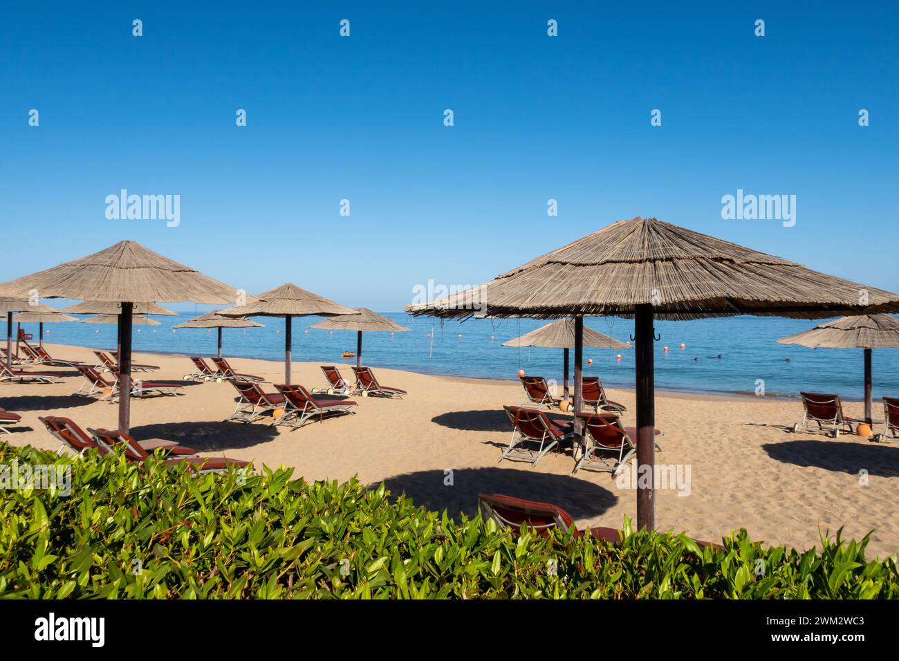 Sandy beach in Fujairah, United Arab Emirates, with thatch umbrellas ...