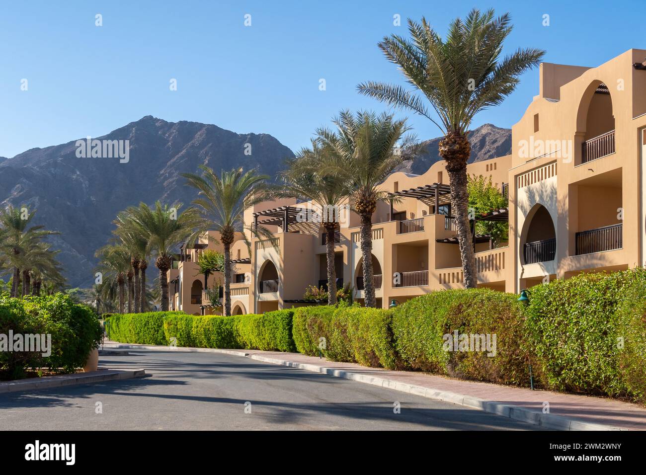 Row of arabic style modern townhouses, residential architecture with ...
