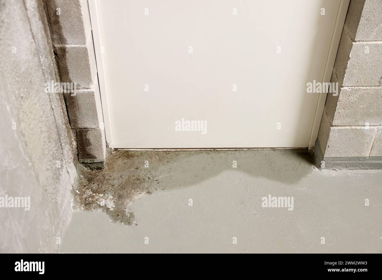 Water coming out from under a door in basement caused by sewer backflow ...