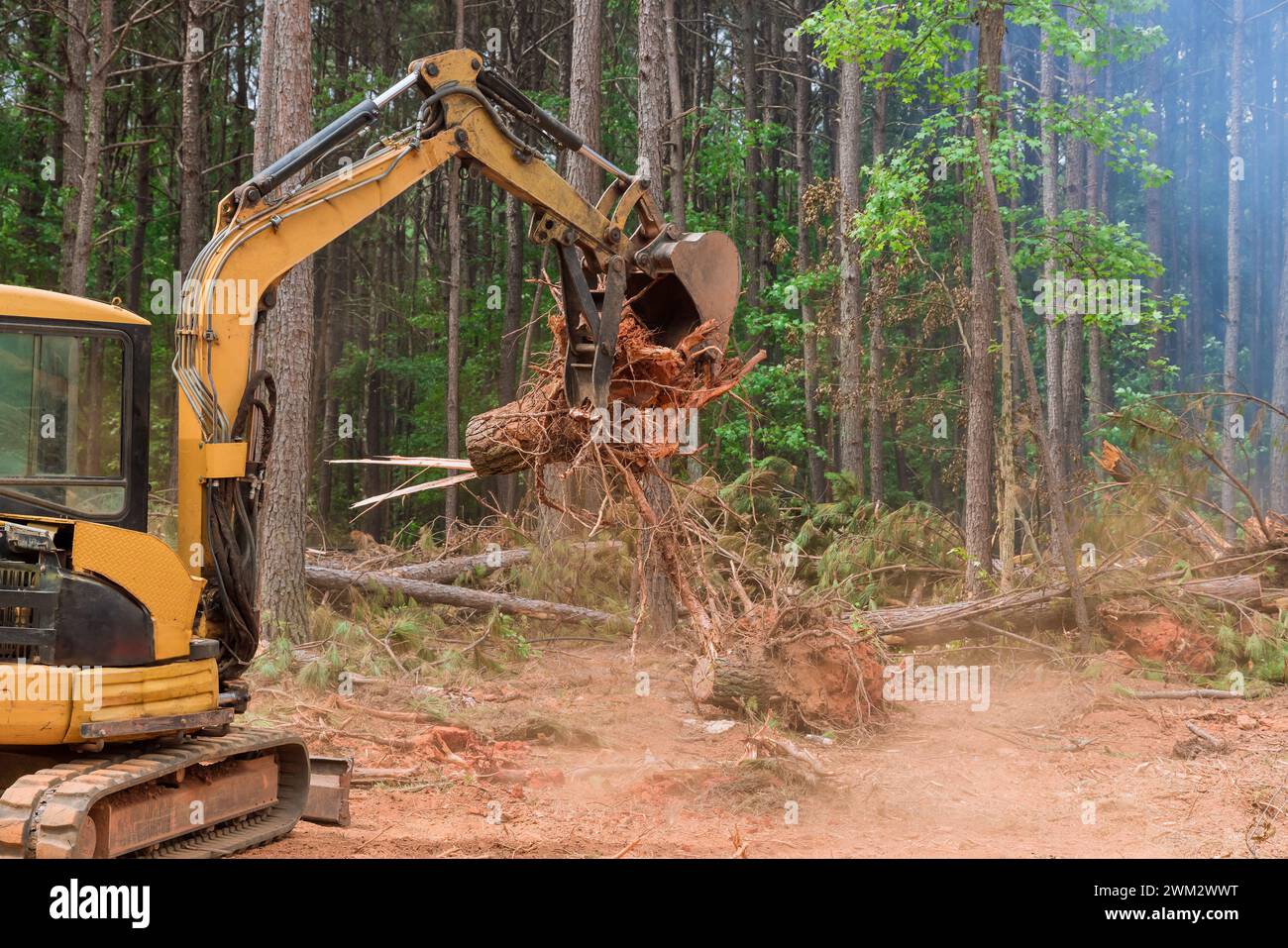 Excavators, tractors are uprooting trees to prepare land for ...
