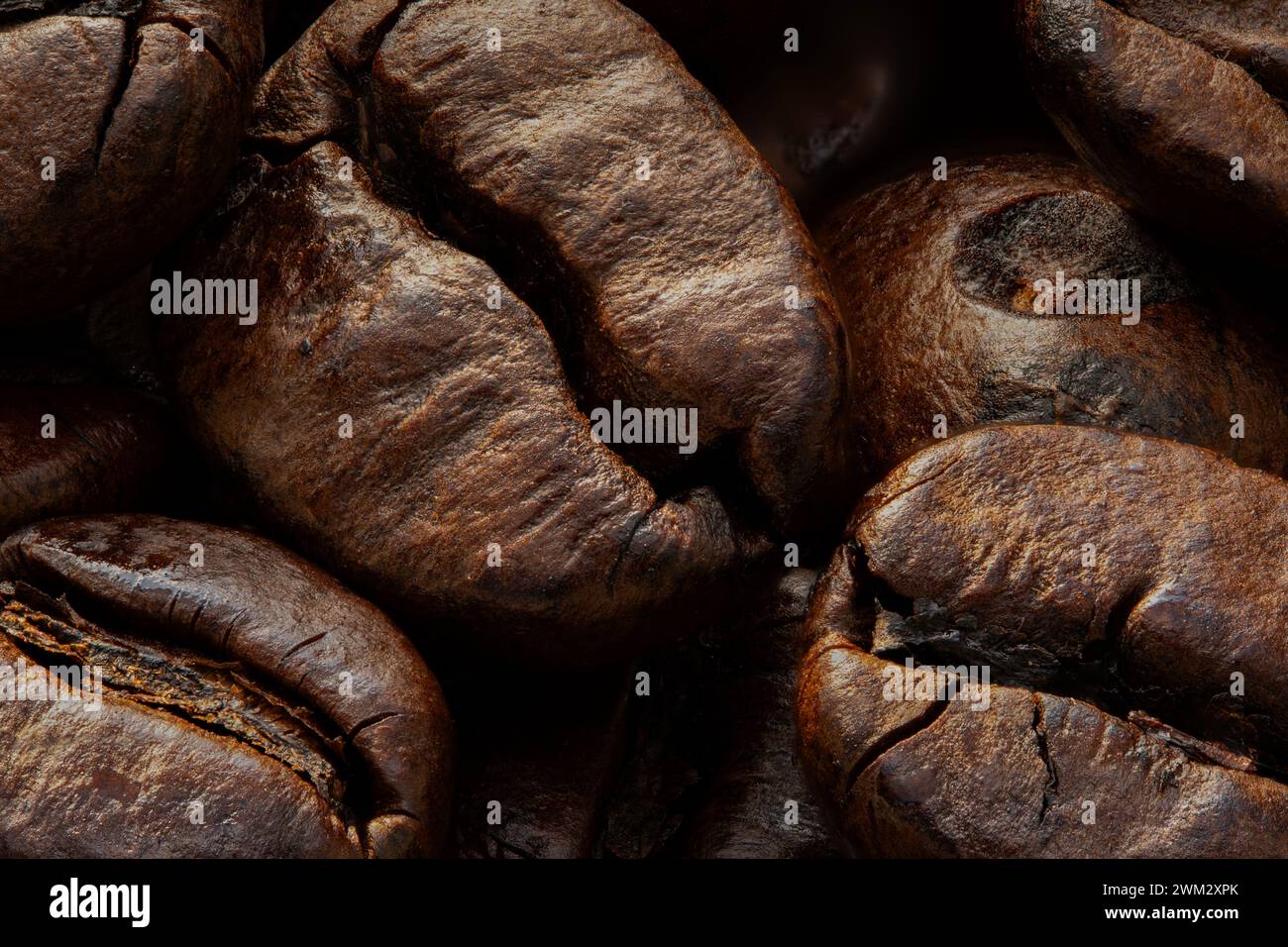 Close up macro photograph of whole roasted coffee beans rich and dark ...