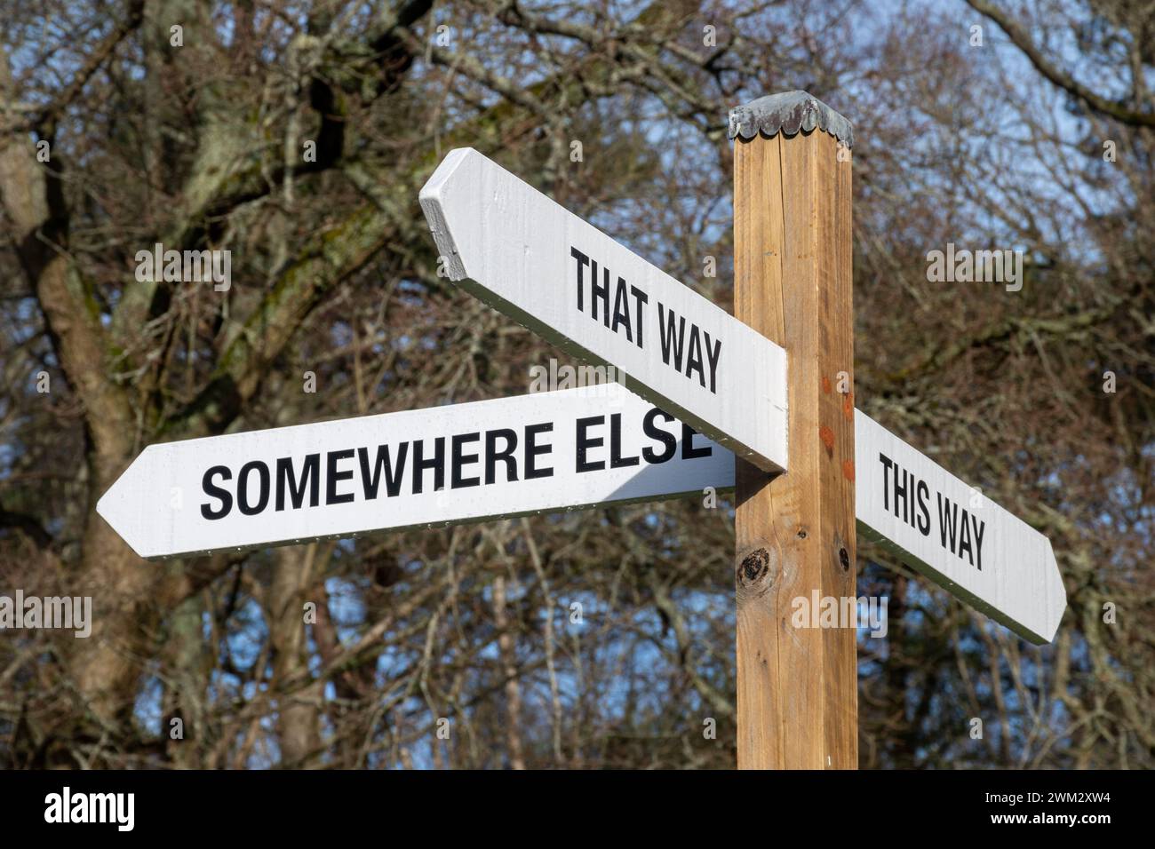 Amusing funny humorous road sign pointing This Way, That Way and ...