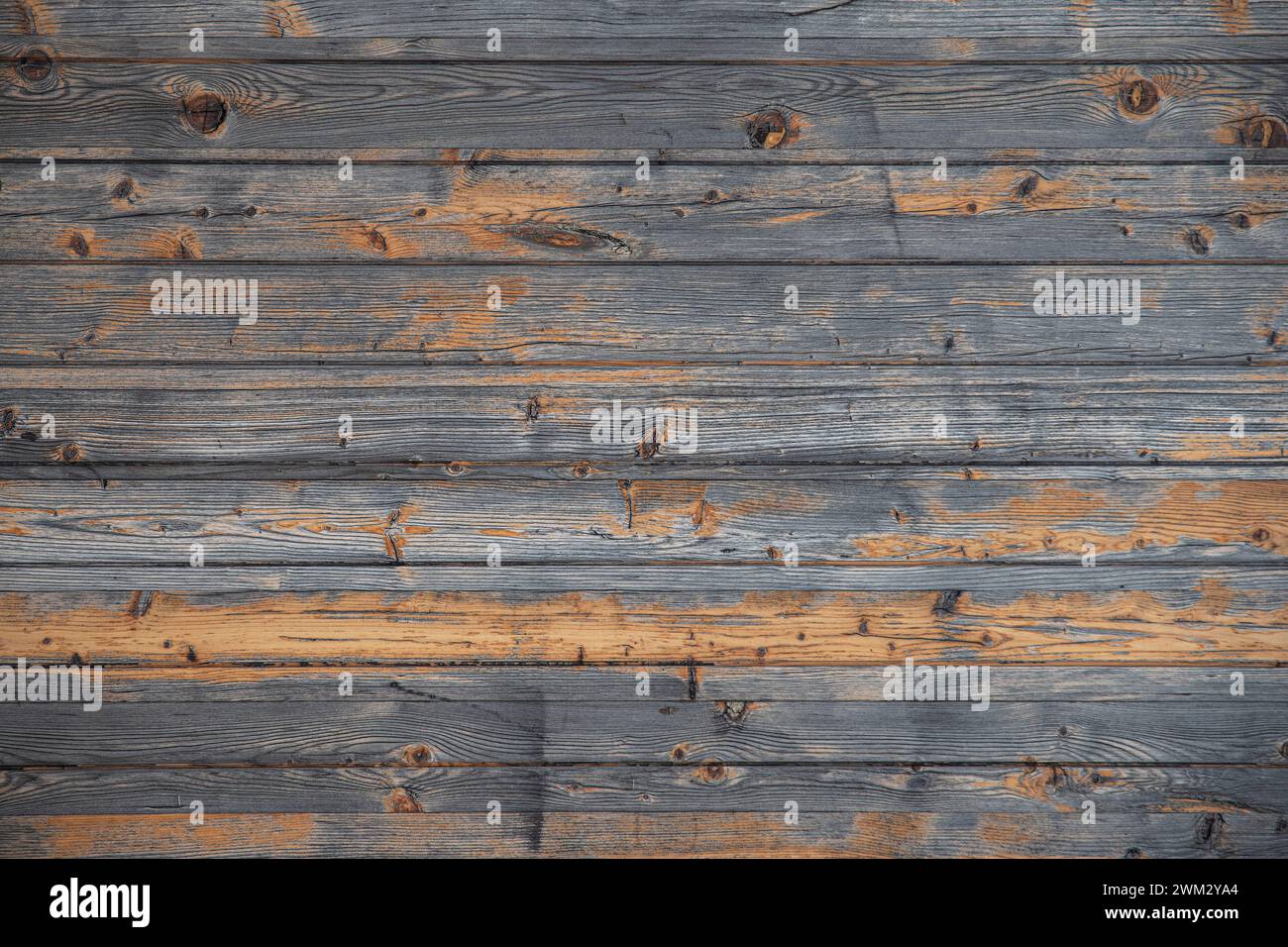 Old grey wood plank texture Stock Photo - Alamy