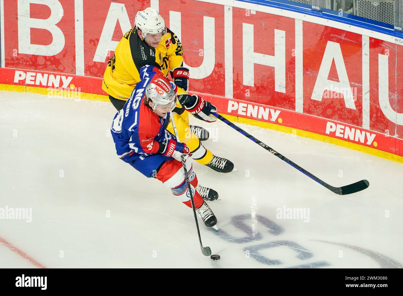 Mannheim, Germany. 23rd Feb, 2024. Ice hockey: DEL, Adler Mannheim ...