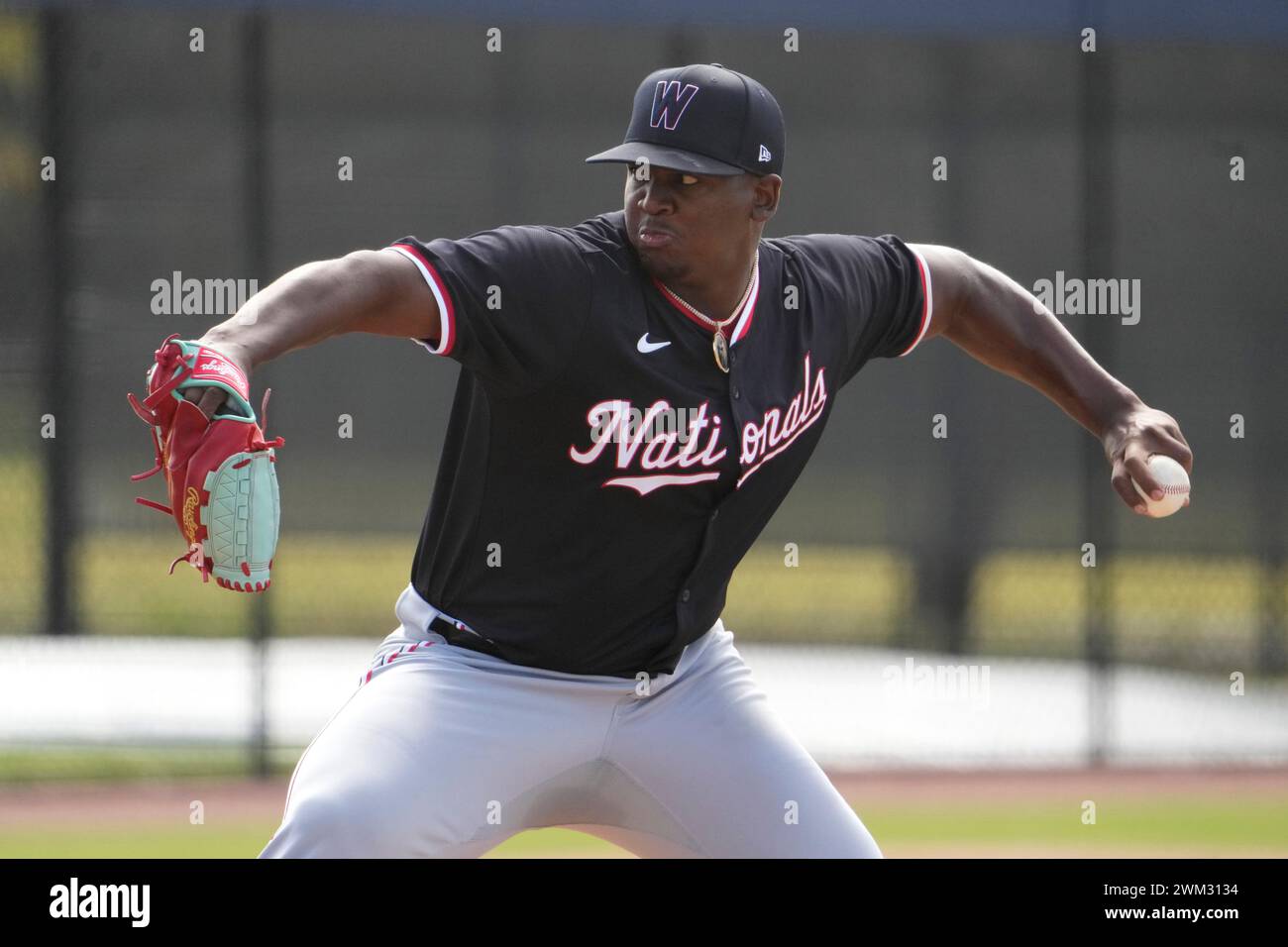 Washington Nationals pitcher Jose A Ferrer throws live batting practice ...