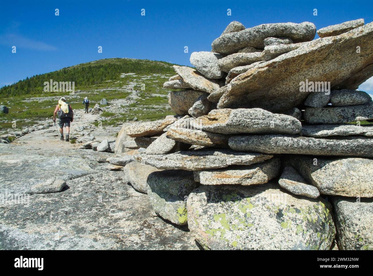 South Baldface Mountain from Baldface Circle Trail in the White ...