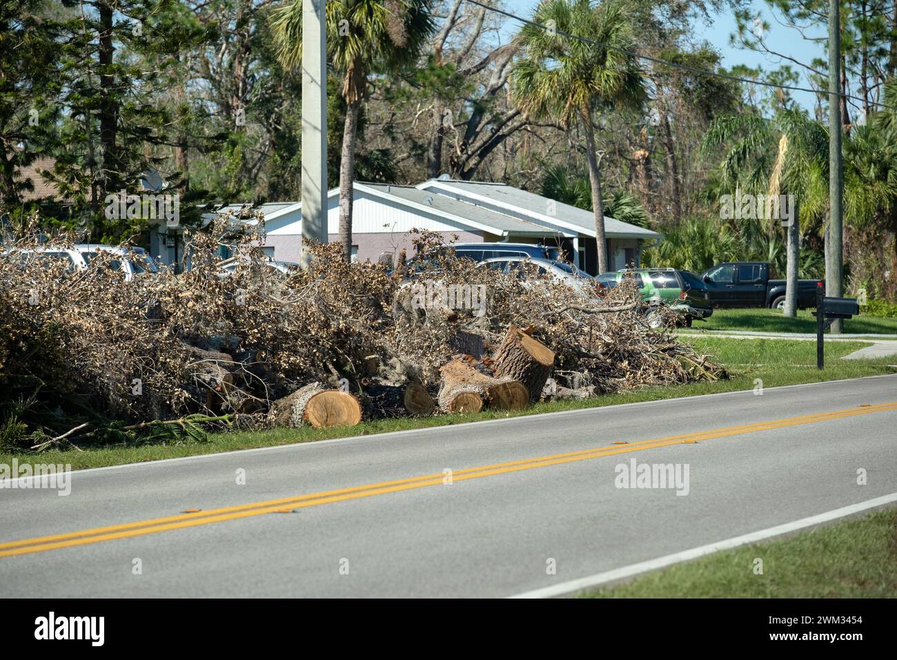 Broken tree limbs and branches on roadside from hurricane wind in ...