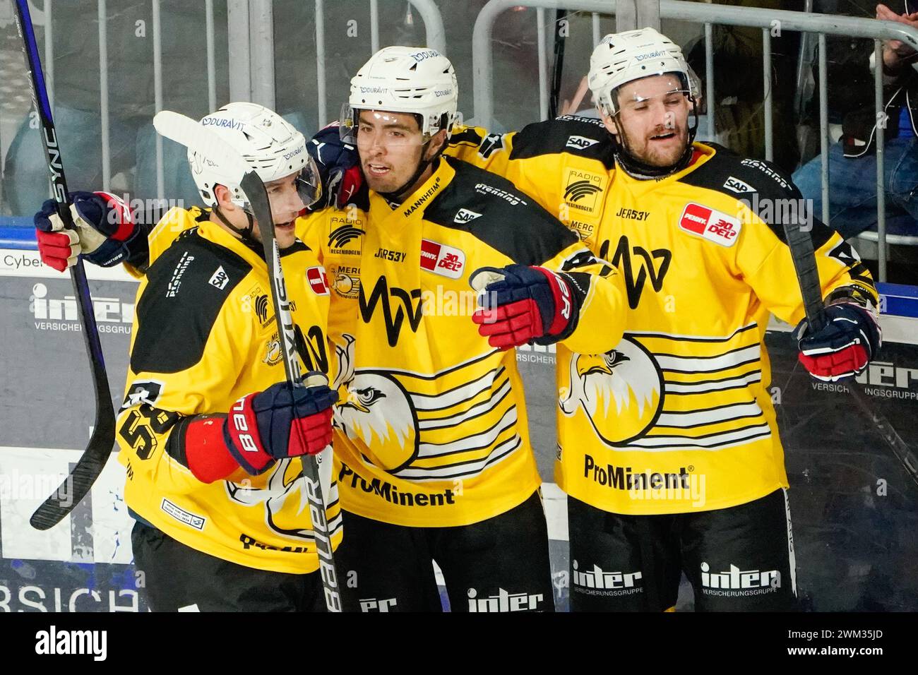 Mannheim, Germany. 23rd Feb, 2024. Ice hockey: DEL, Adler Mannheim ...