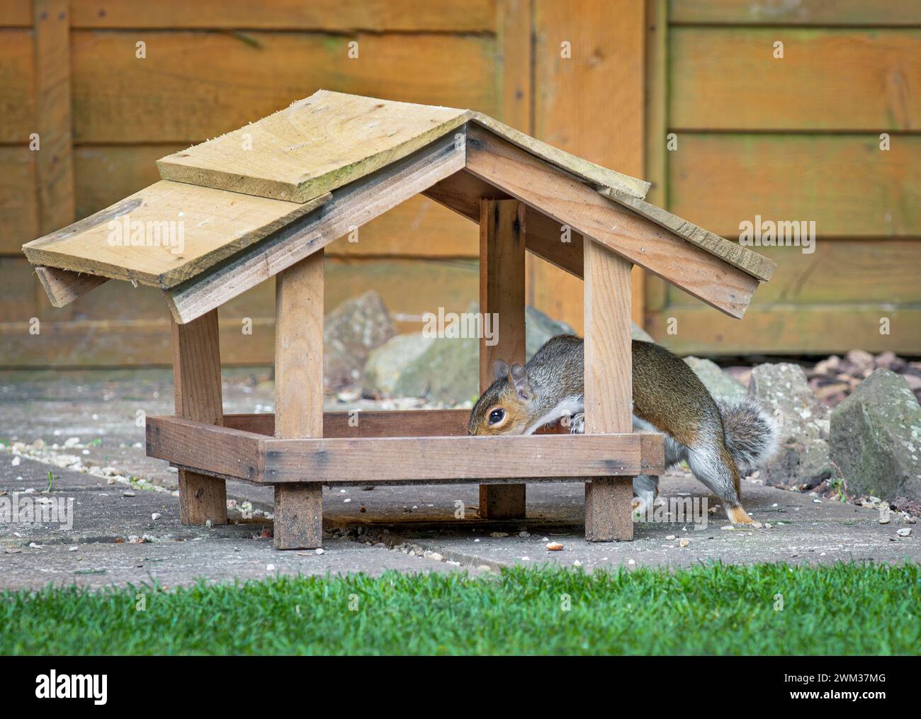 Feeder people hi-res stock photography and images - Alamy