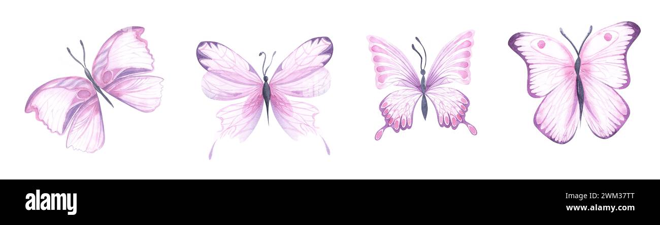 pink butterfly set Watercolor colorful butterflies, isolated on white ...