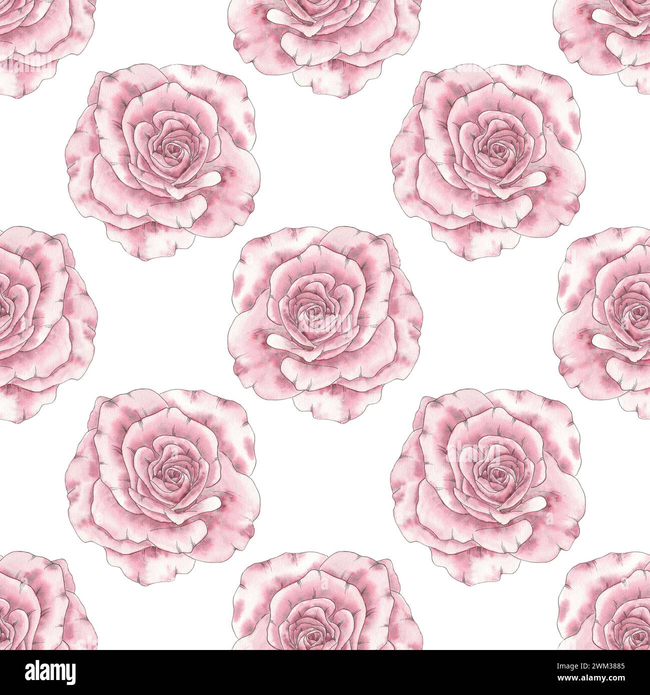 Seamless Pattern Watercolor Flower Rose Pink Vintage Hand Drawing