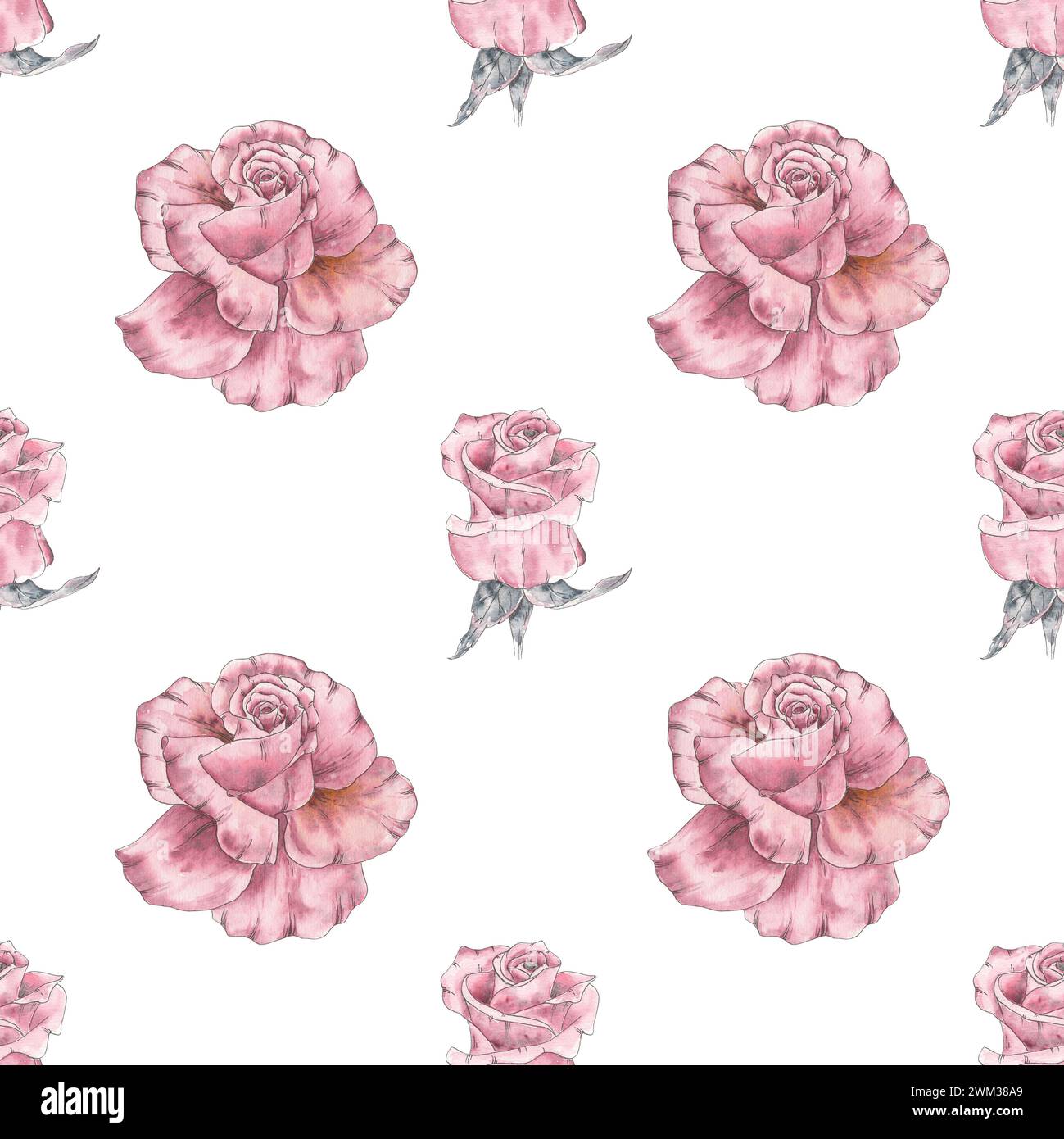 Flower peony rose pink vintage seamless pattern watercolor hand drawing ...