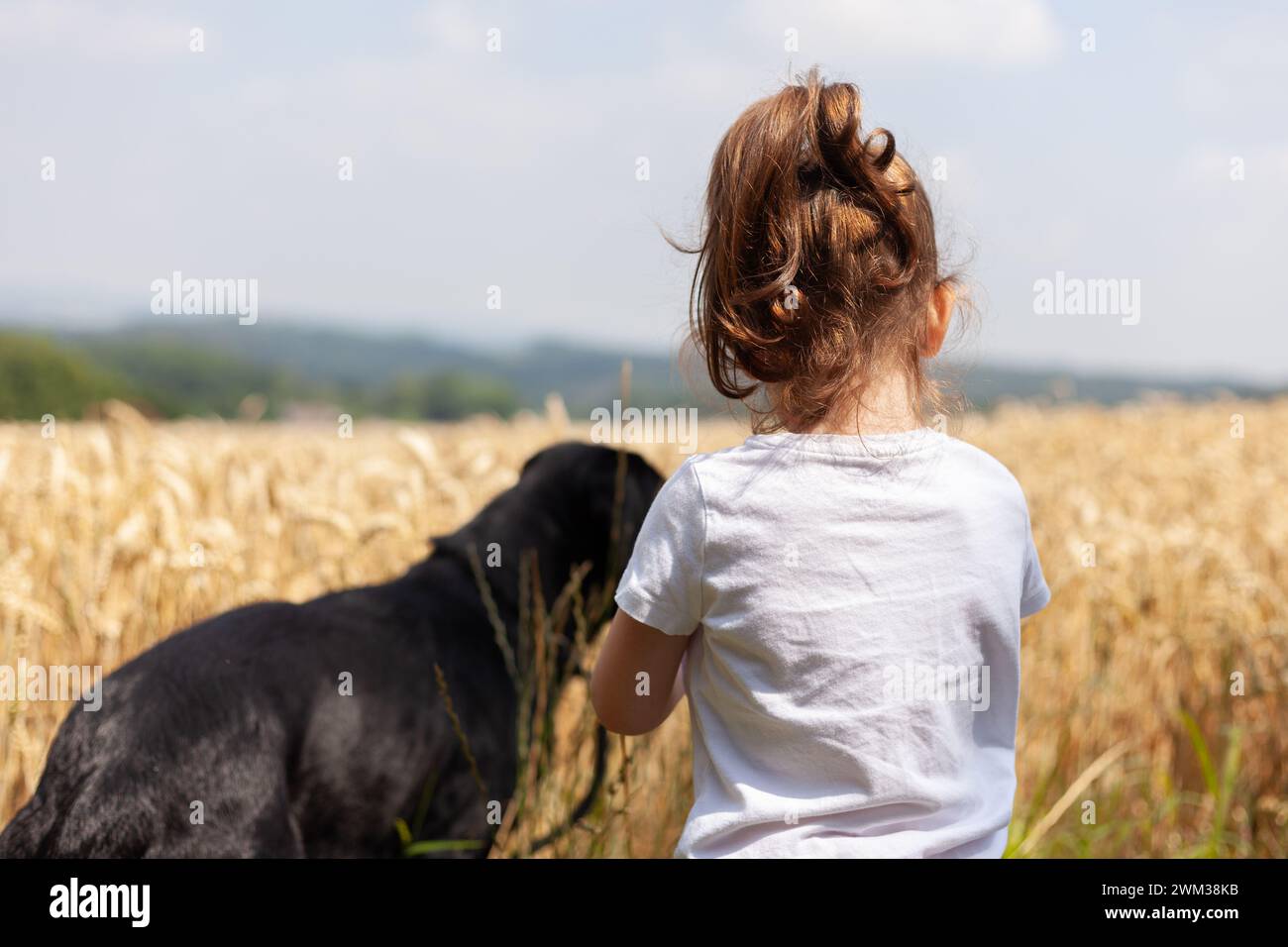 Rear view of a little girl walking with her black labrador retriever ...