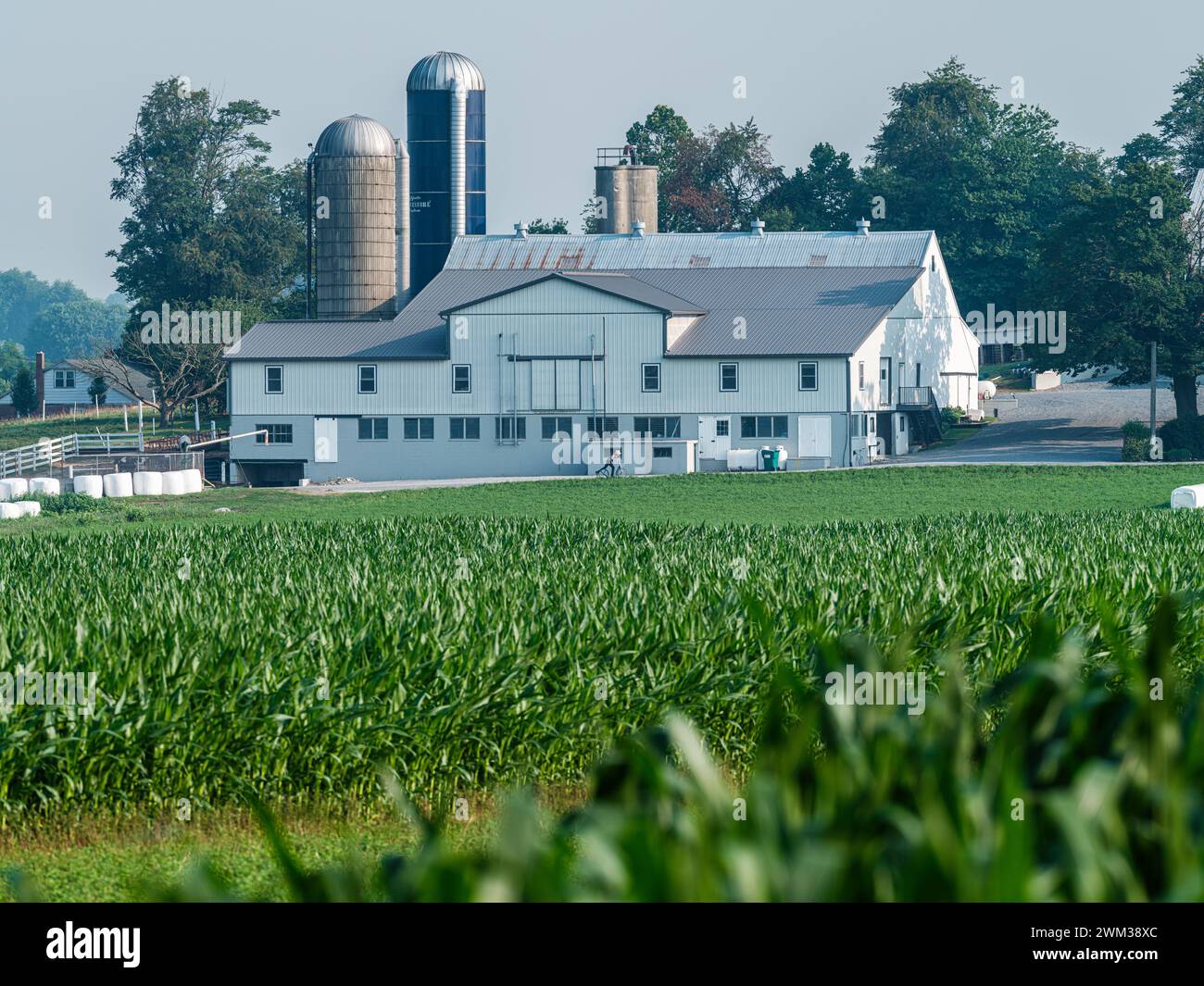 Boy Scoots, Green Fields Amish Farmland, Lancaster County, Pennsylvania ...