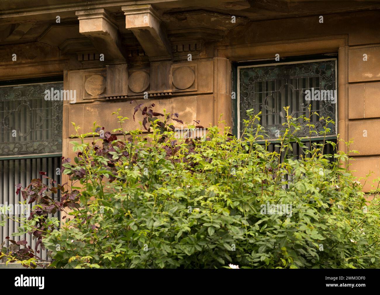 Mackintosh windows and architectural details of the University of ...