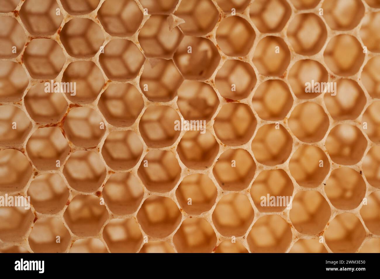 Open beehive construction hi-res stock photography and images - Alamy