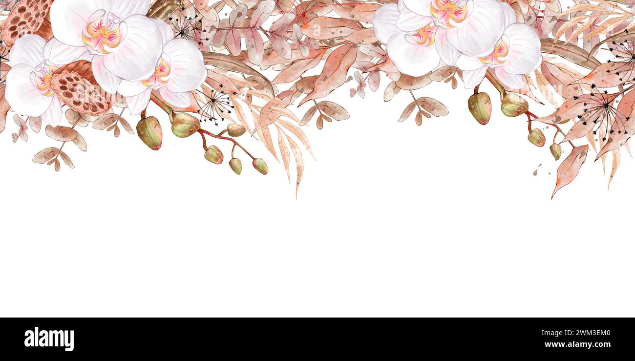 Watercolor floral border with white orchids. Hand drawn illustration in ...