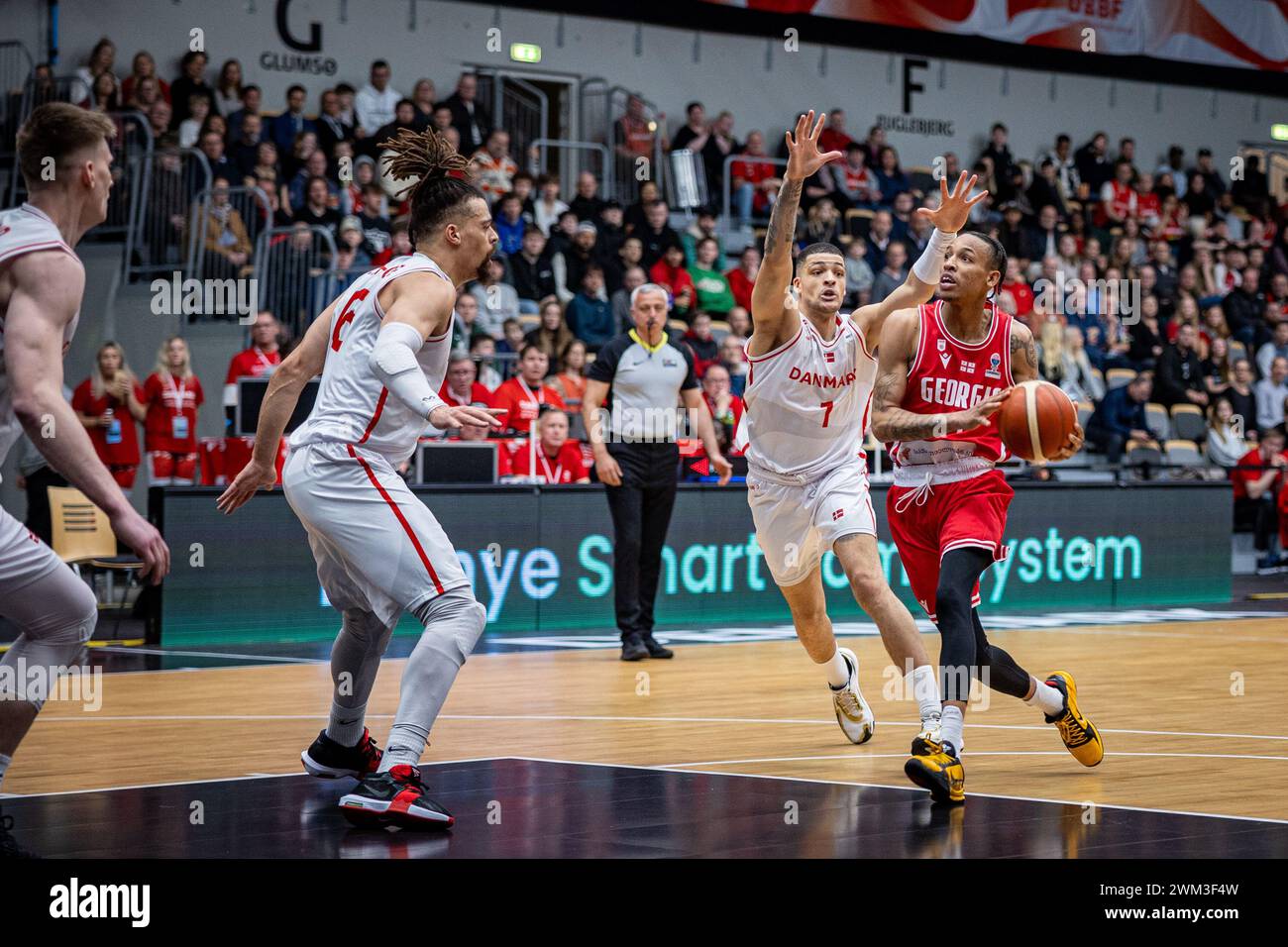 Denmark was host to a national game. Between Denmark and Gorgia, in ...