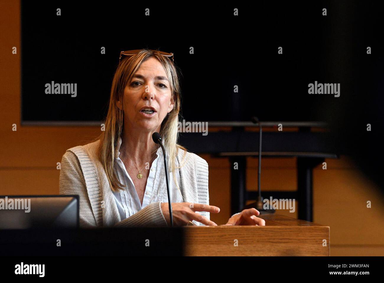 Clara Duperron, a friend of Michelle Troconis, testifies during ...